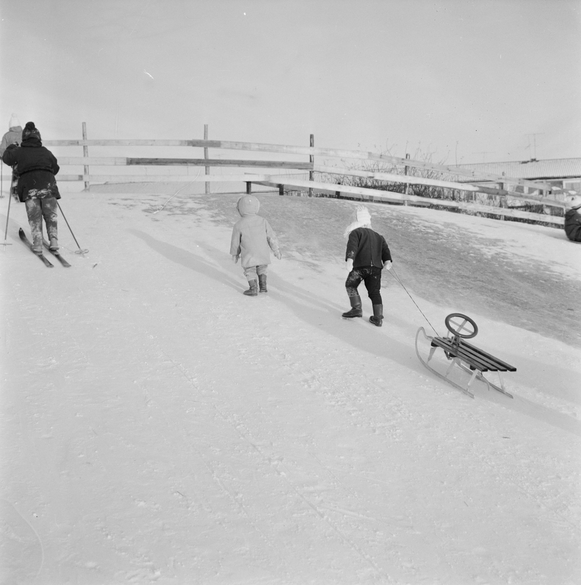 Vinterbilder - barn åker skidor och kälke, Uppsala, december 1961 ...