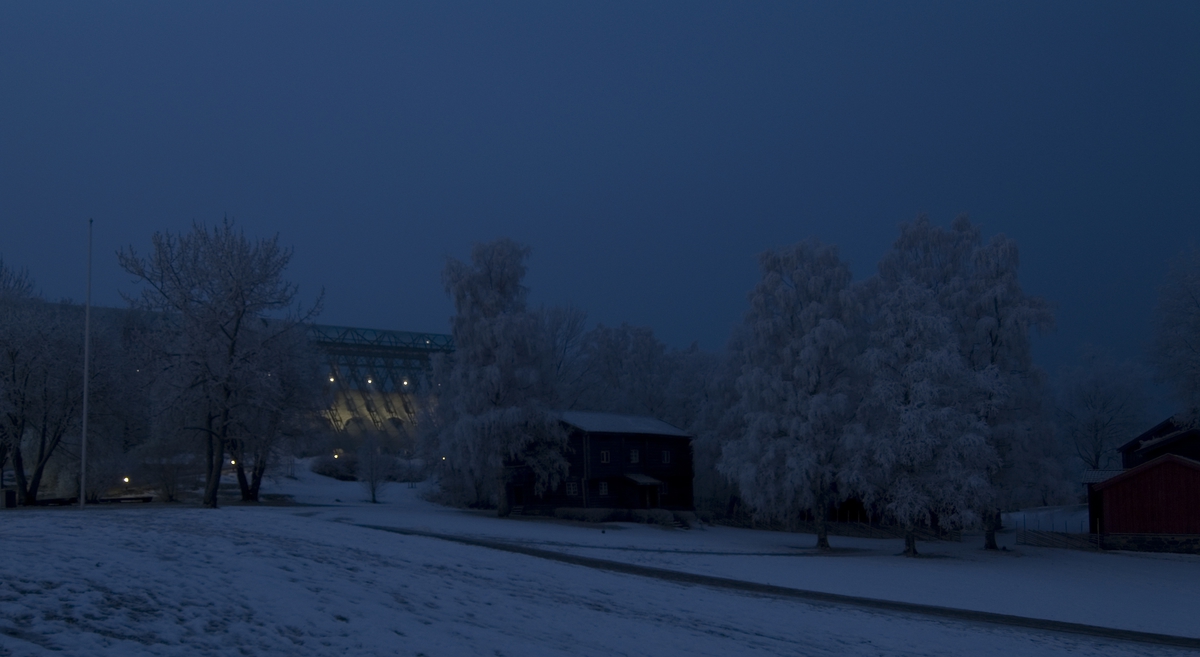 Julestemning ute på Domkirkeodden. Vinter, Juletre, Juletre med lys ...