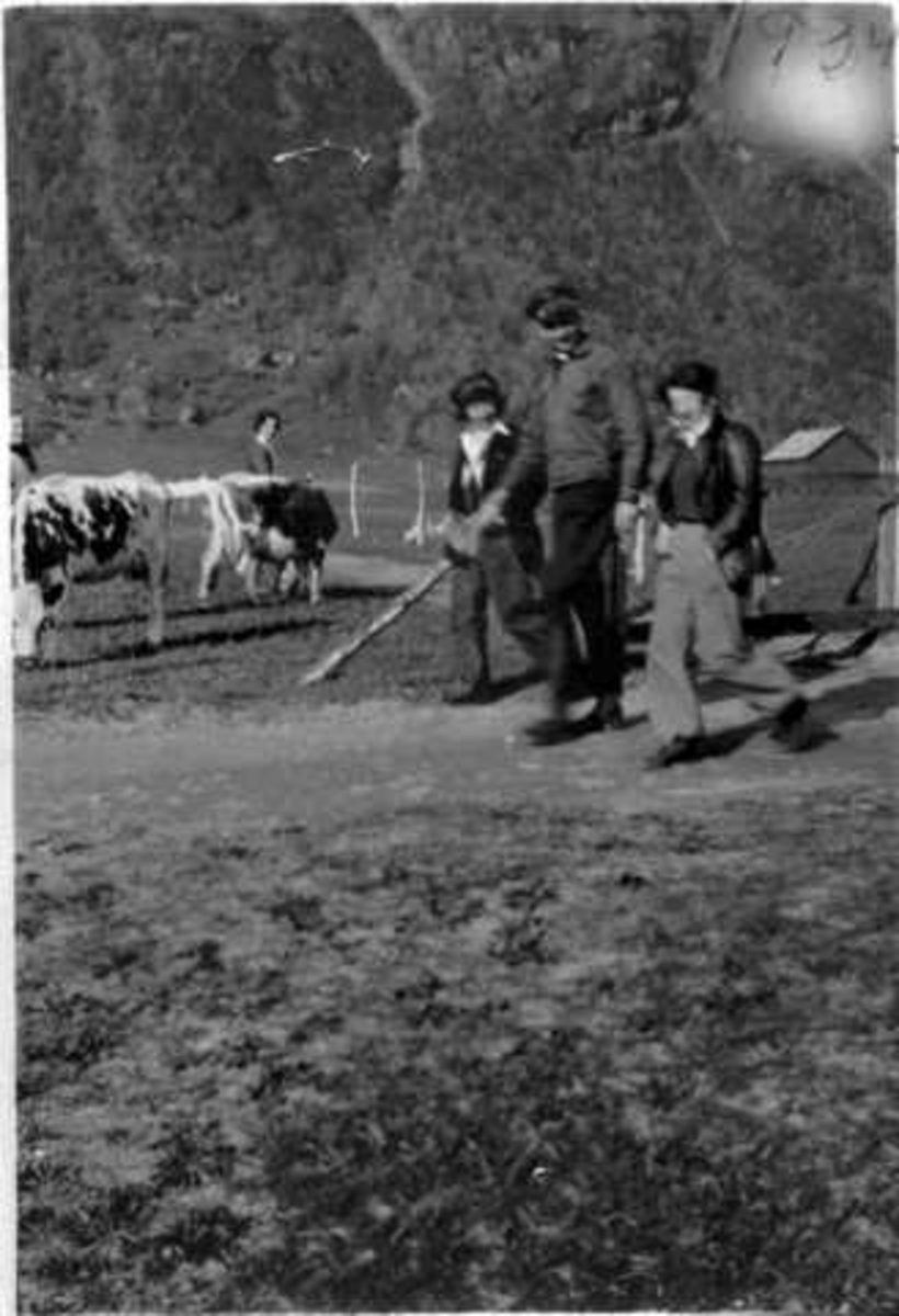 Et jorde med noen personer og kyr. - Norsk Luftfartsmuseum / DigitaltMuseum