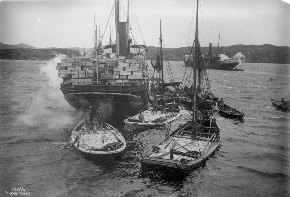 Dampskipet D/S "Carlotta" med mange stabler med trekasser på baugen ...