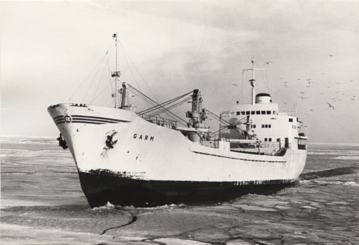 Lastfartyget m/s GARM under gång 1963. - Sjöhistoriska museet ...