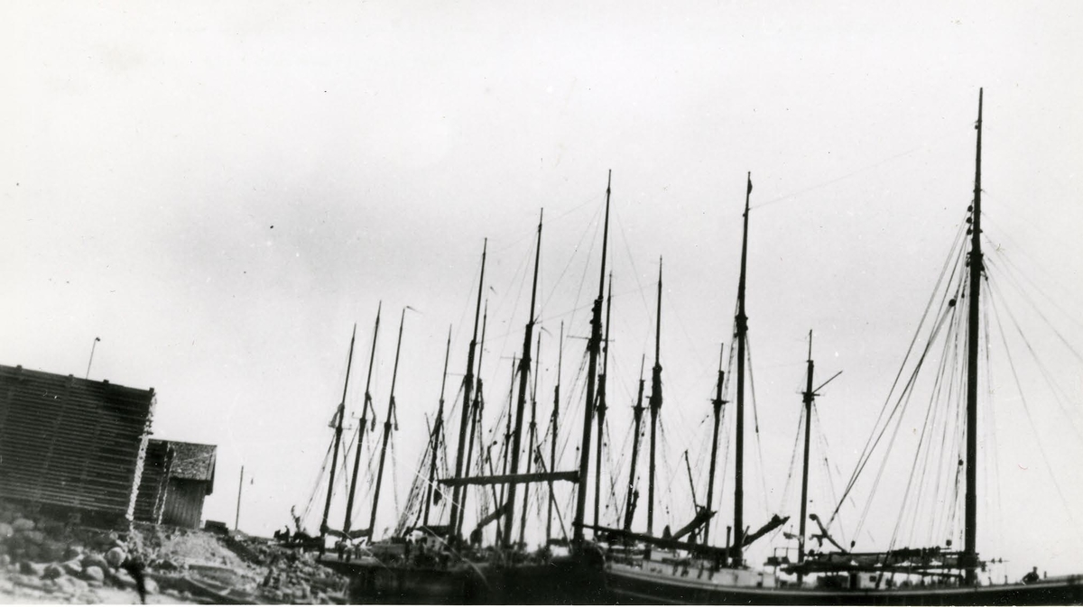Virkeslastade skutor i Kallviken 1934. - Sjöhistoriska museet ...