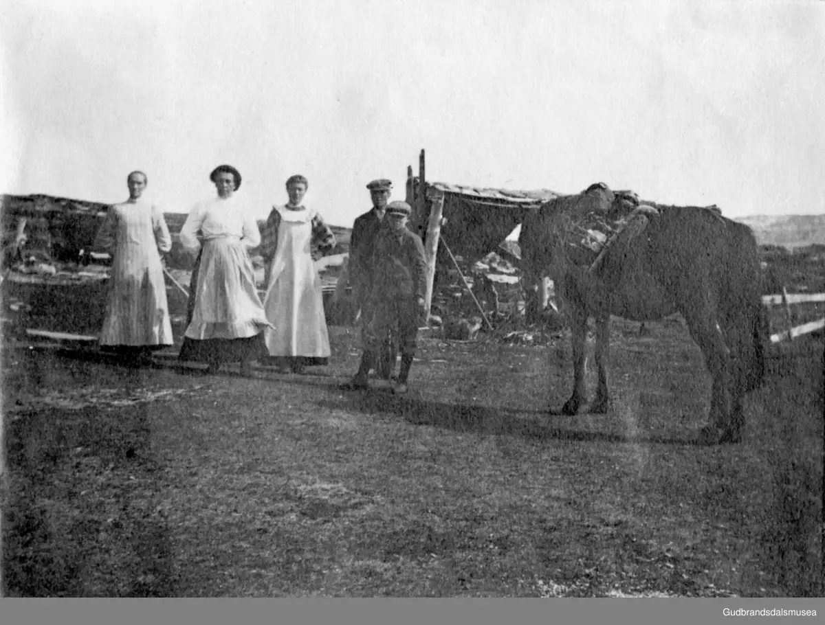 Bildet tatt på et jorde? Fem personer hvorav tre kvinner, hest med ...