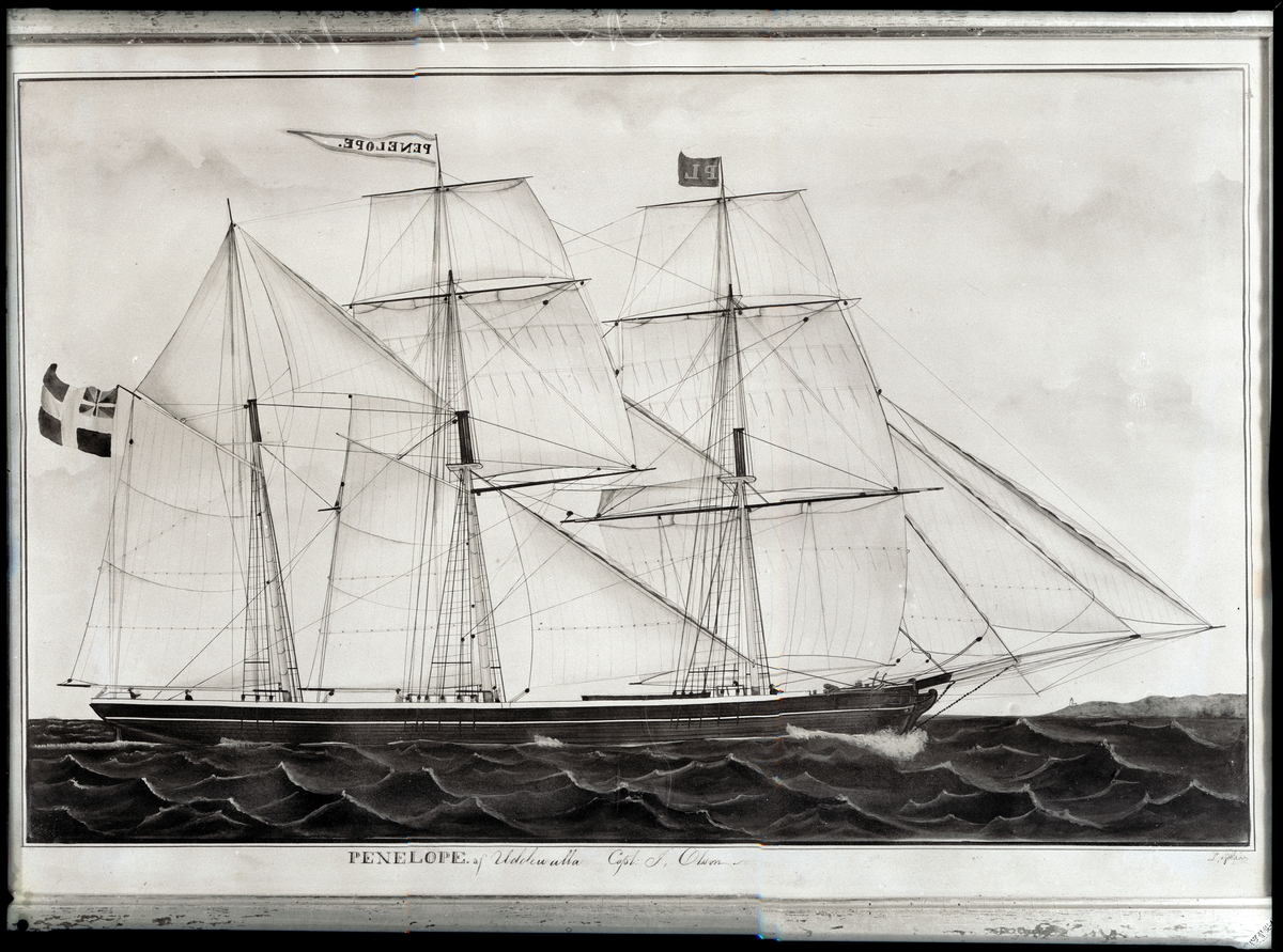 Uppgift enligt fotografen: "Tavla "Penelope af Uddevalla ...