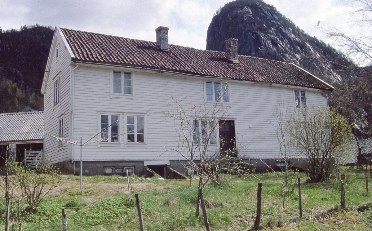 hus, glas, gjerde, tre, fjell - Ryfylkemuseet / DigitaltMuseum