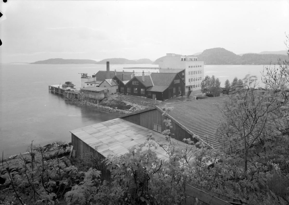 Heistad fabrikker - DEXTRA Photo / DigitaltMuseum