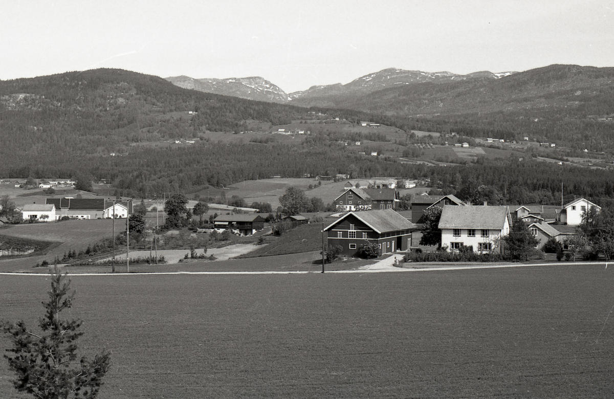 Fossheim i Bø, nærast er Fossheim 41/18. Bak ligg Liheia - Bø Museum ...