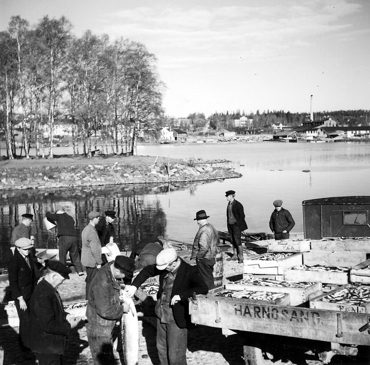 Fiskförsäljning - Västernorrlands museum / DigitaltMuseum