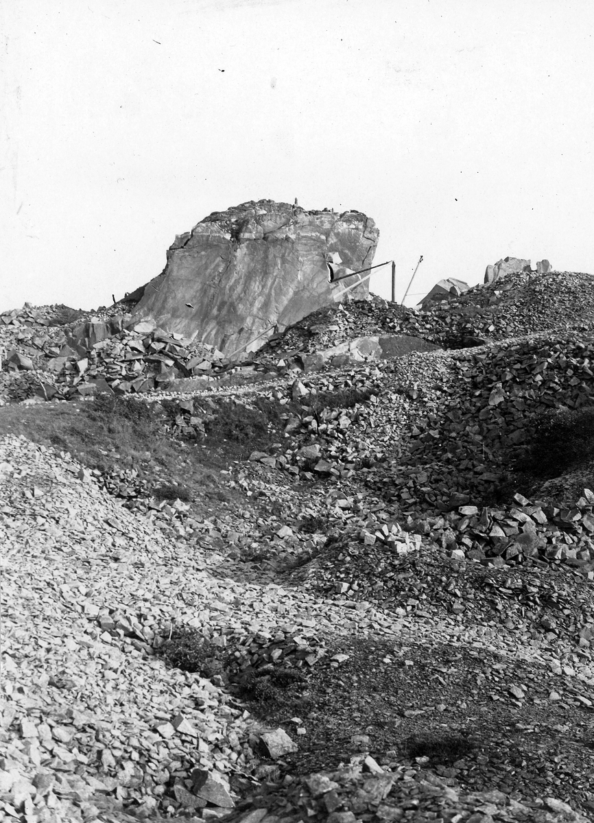 Skallen - Hallands Konstmuseum / DigitaltMuseum