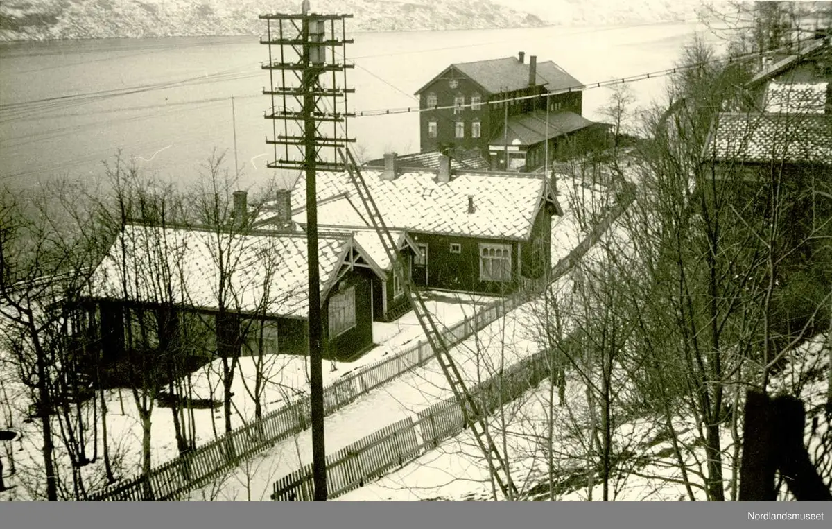 Furulund. Ca 1948. Foto Ukjent. - Nordlandsmuseet / DigitaltMuseum