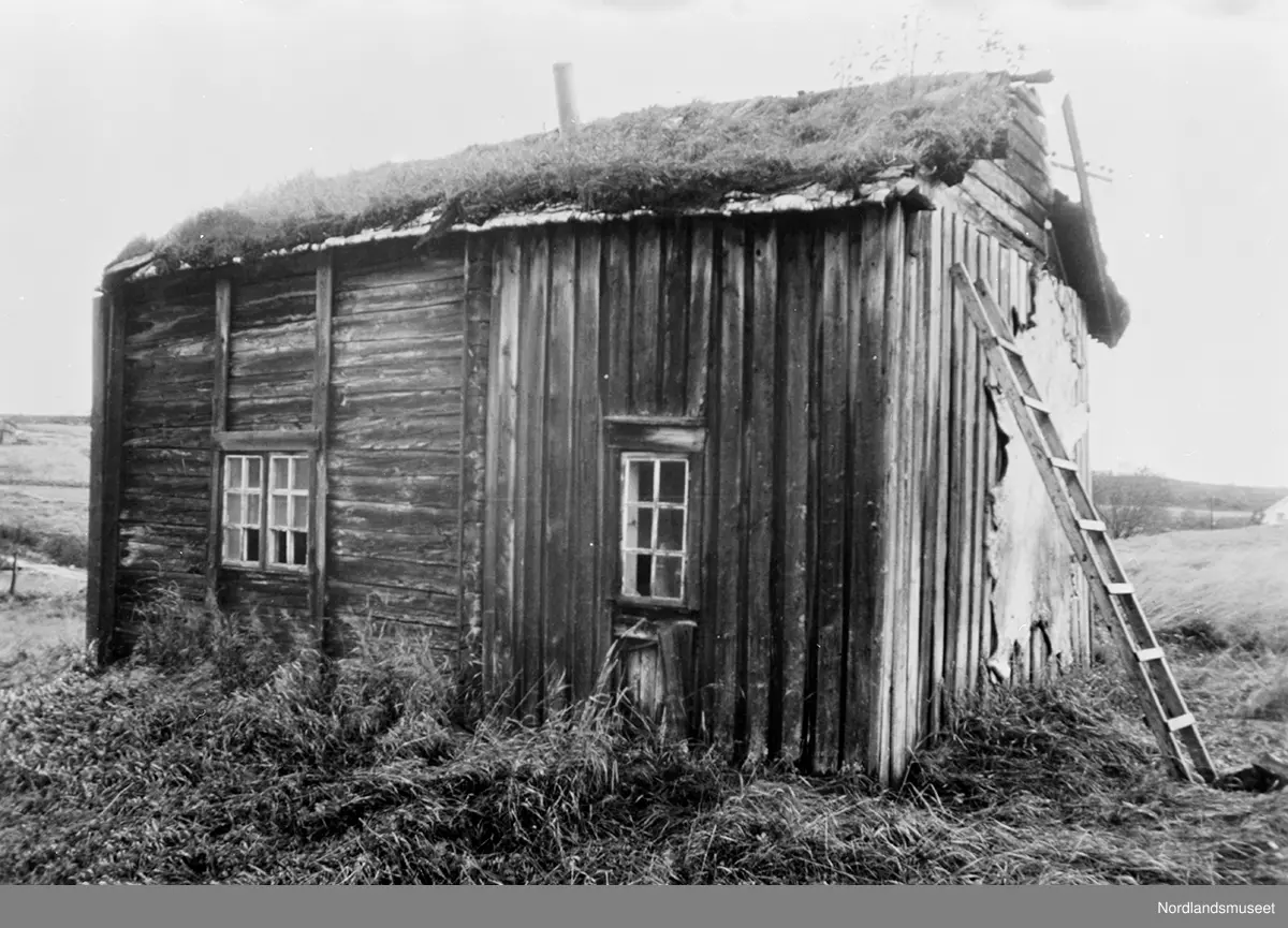 Gammel stue på Straumøya. Bygning av tømmer, torvtak med pipe av ...
