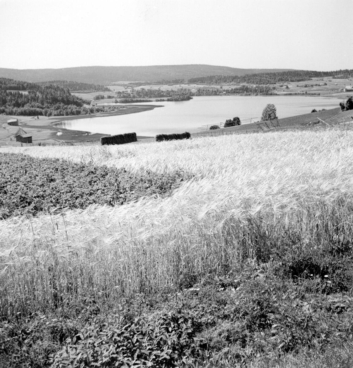 Klingstatjärn sedd från Berge. Bilden över Klingstatjärn fotad i Allsta ...