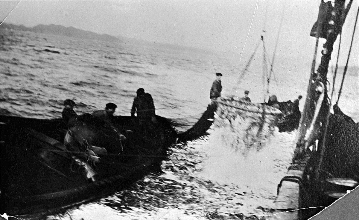 Silda håves ombord - Midt-Troms Museum / DigitaltMuseum