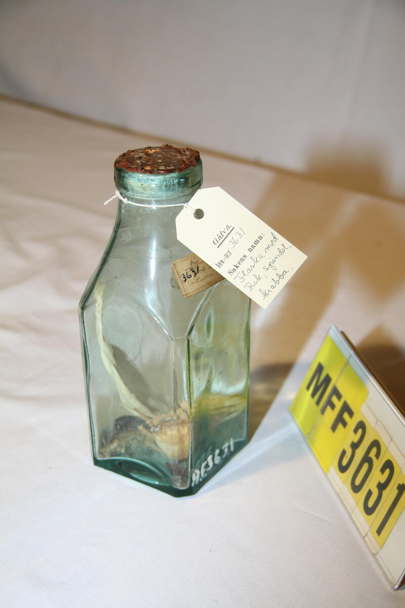 Spindelkrabba och fisk i spritflaska - Medelpads fornminnesförening ...