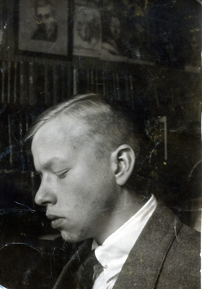 Dyre Vaa - Vest-Telemark Museum / DigitaltMuseum