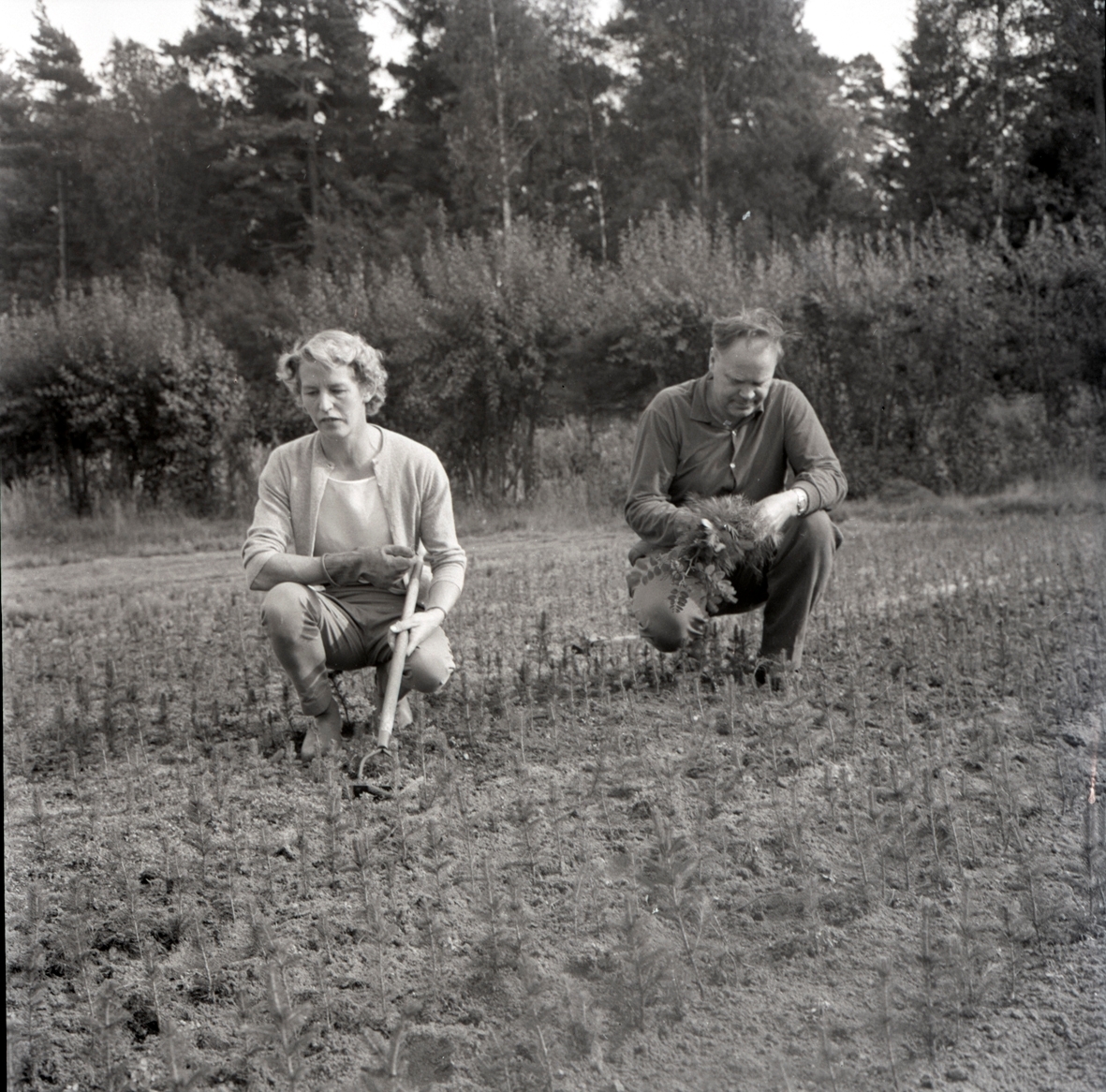 Arthur Kristoffersson och Ebba Jansson, Böda. - Kalmar läns museum ...