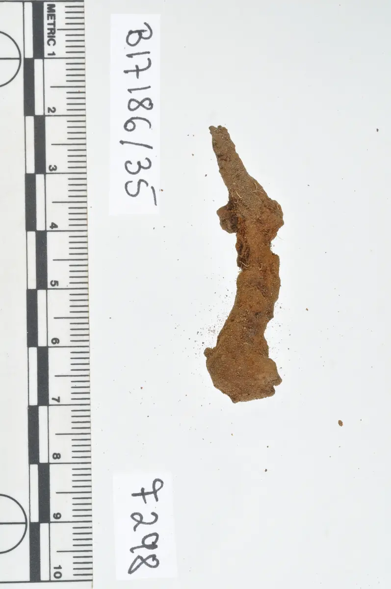 B 17186.35 F298 Nagle eller spiker med rundt hode og firkantet stilk ...