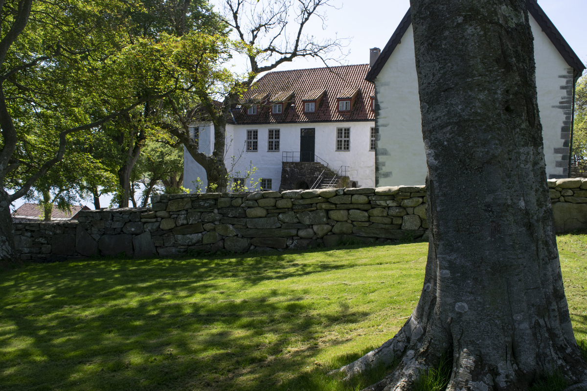 Trær rundt Utstein Kloster. - Arkeologisk museum, Universitetet i ...