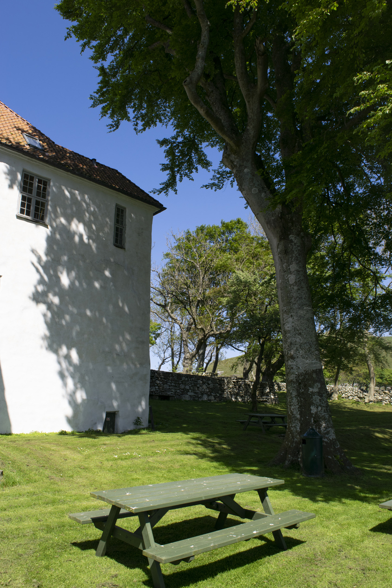 Trær rundt Utstein Kloster. - Arkeologisk museum, Universitetet i ...
