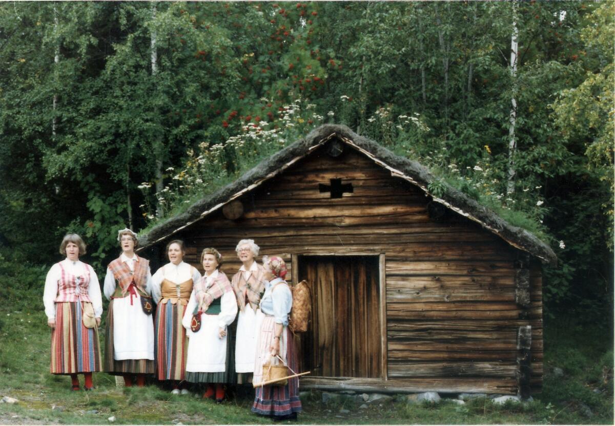 Säbrå lilla damkör underhåller. - Västernorrlands museum / DigitaltMuseum