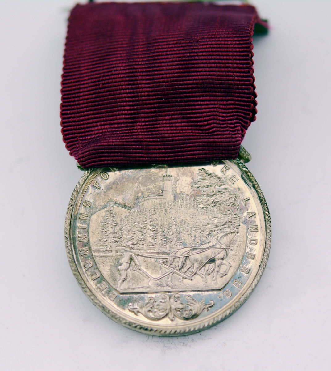 Medalje - Telemark Museum / DigitaltMuseum