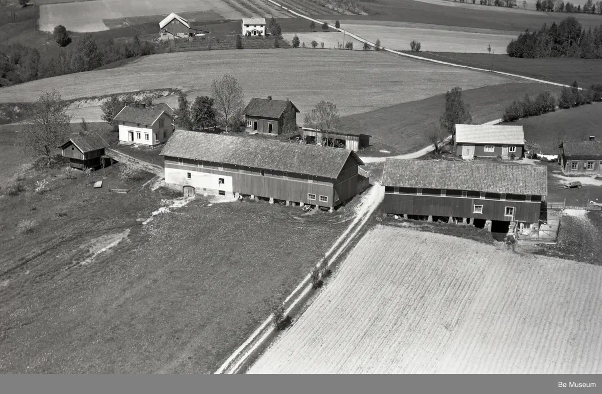 Flyfoto av Haugerud, tatt 7. juni 1958. - Bø Museum / DigitaltMuseum