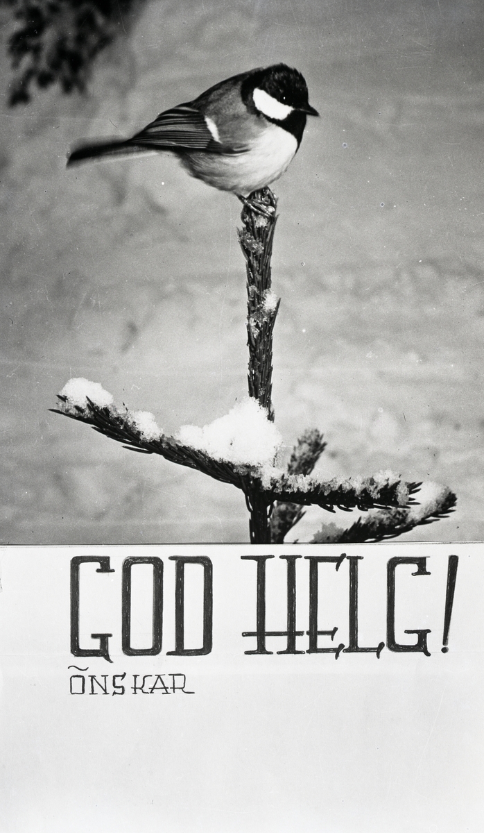 Förlaga till jul- och nyårskort, med texten "GOD HELG önskar". En ...