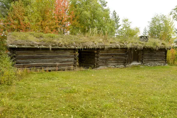 Tynset bygdemuseum - museumsparken - Musea i Nord-Østerdalen