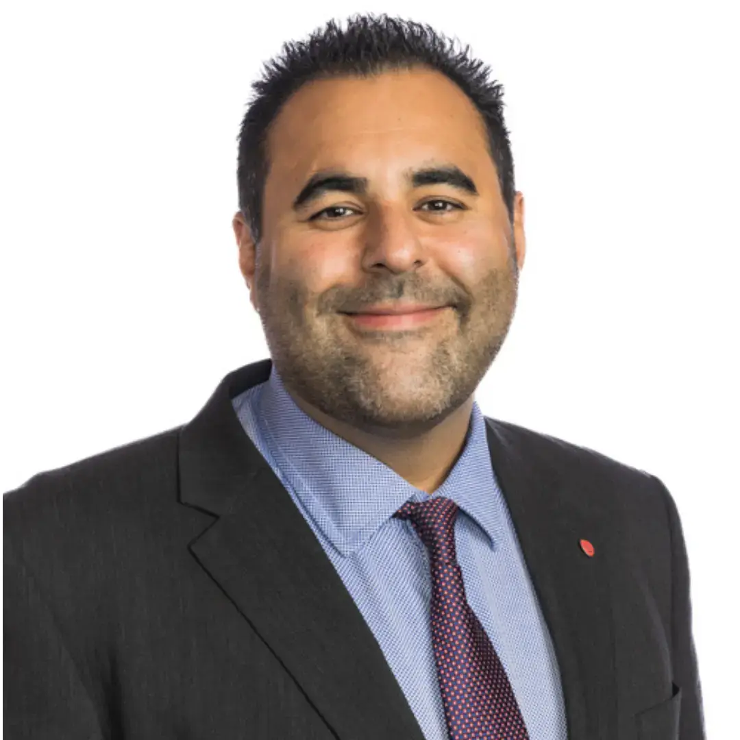 Nasjonal komité - Norge i tusen år