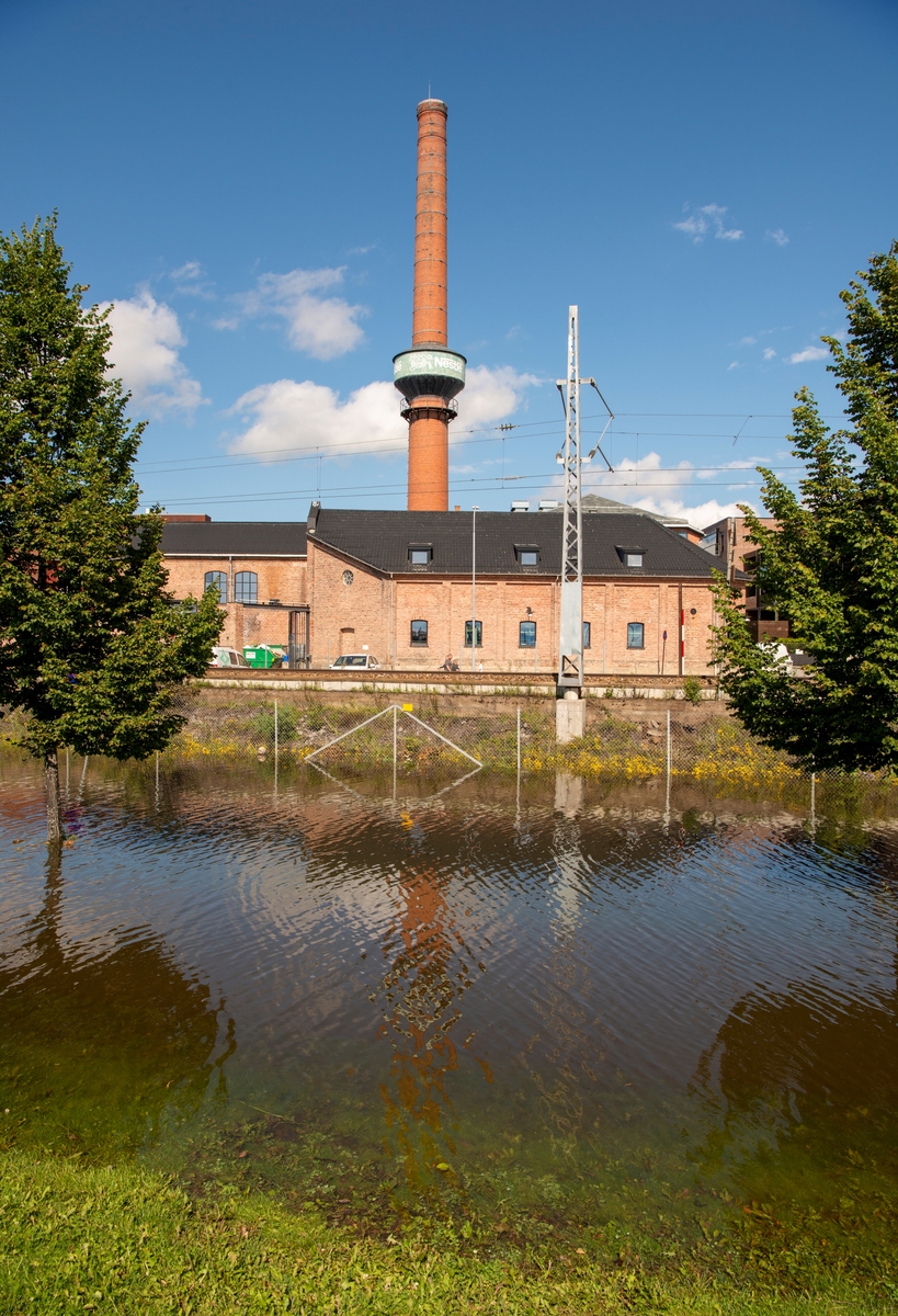 Flom i Mjøsa sommeren 2023. Mjøsflom. Flom 2023. Hamar sentrum ...