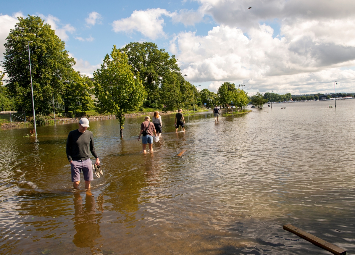 Flom i Mjøsa sommeren 2023. Mjøsflom. Flom 2023. Hamar sentrum ...