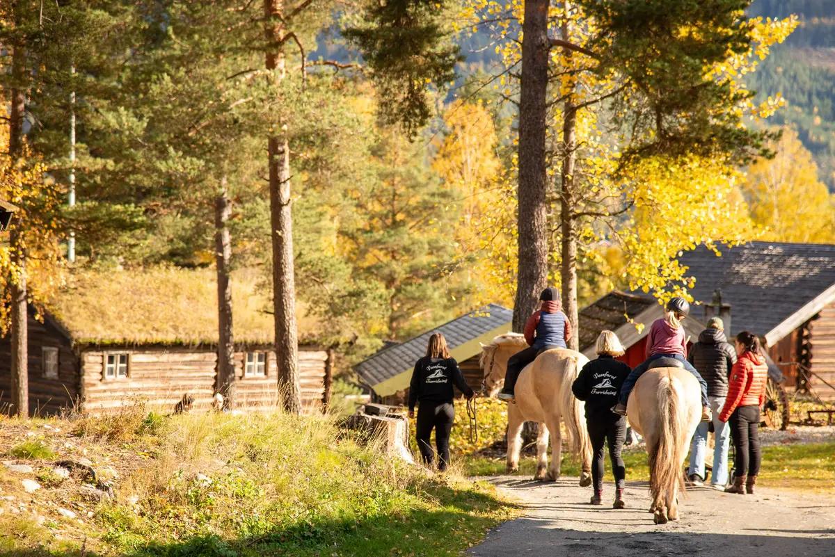 Besøk oss - Hallingdal Museum