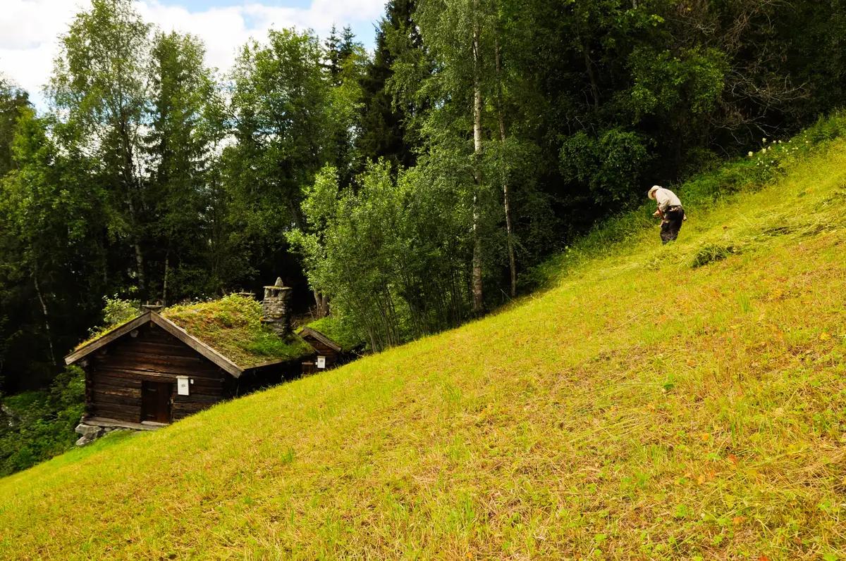 Ål Museumslag - Hallingdal Museum