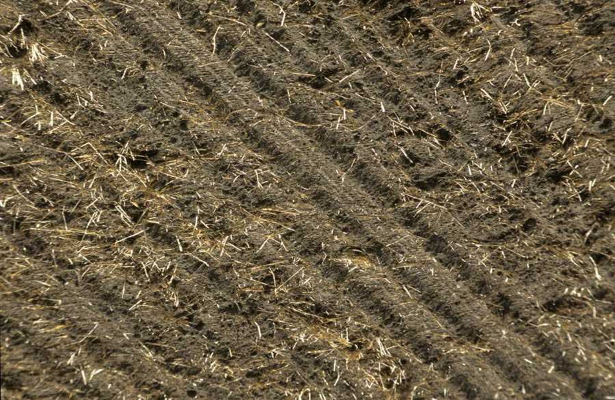 Harving med traktor, Ullensaker - Museene i Akershus / DigitaltMuseum