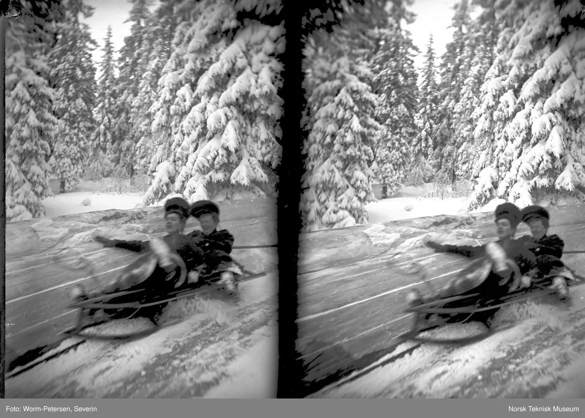 Vinterbilde, kjelkekjøring i skogen. - Norsk Teknisk Museum ...