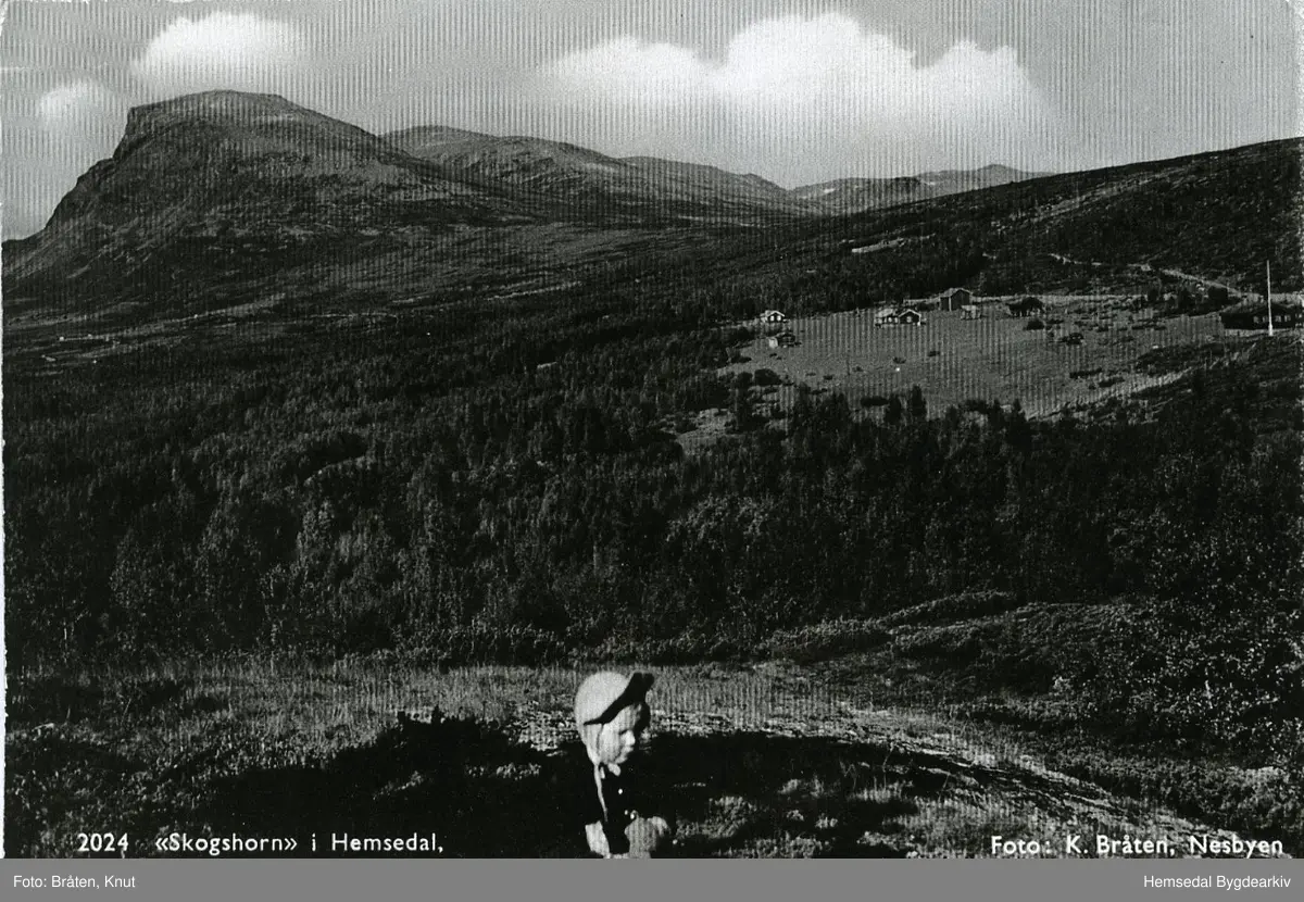 "Skogshorn" i Hemsedal med Sørehjallen seter i bakgrunnen 63/6 ...