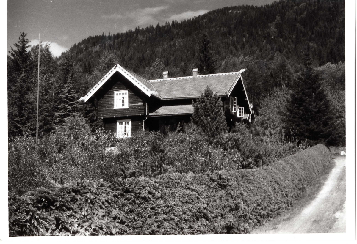 Vidkun Quisling sin villa i Fyresdal, Jonsborg i Hegglandsgrend - Vest ...