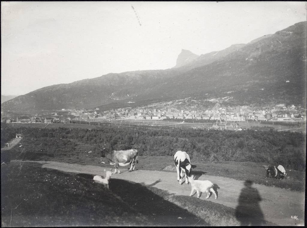 Framnes - Museum Nord / DigitaltMuseum