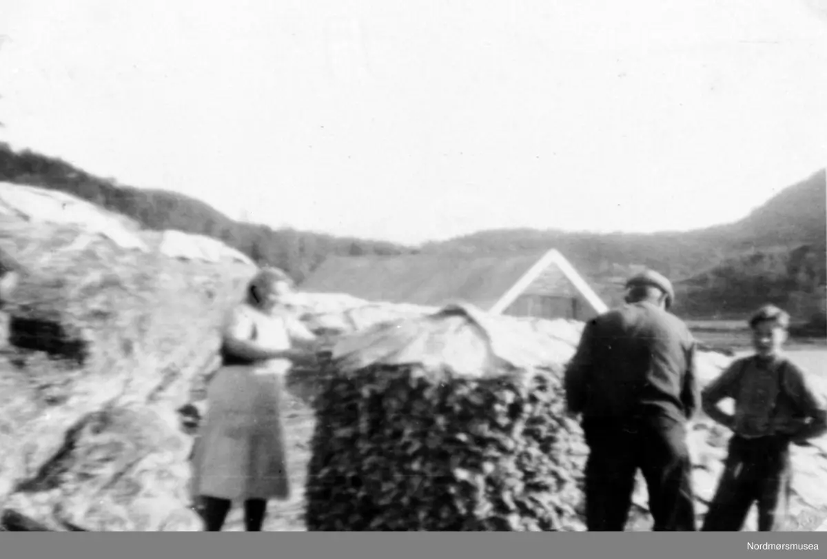 På fiskbergene i Møstavågen ved Blomvik, like ved hjemmet til Kristian ...