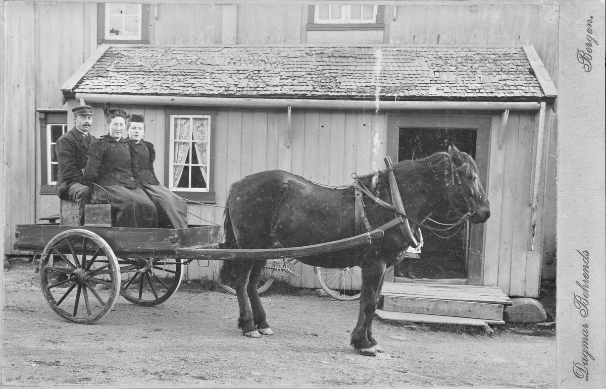 Hest og vogn med passasjerer i Beian. - Museet kystens arv / DigitaltMuseum