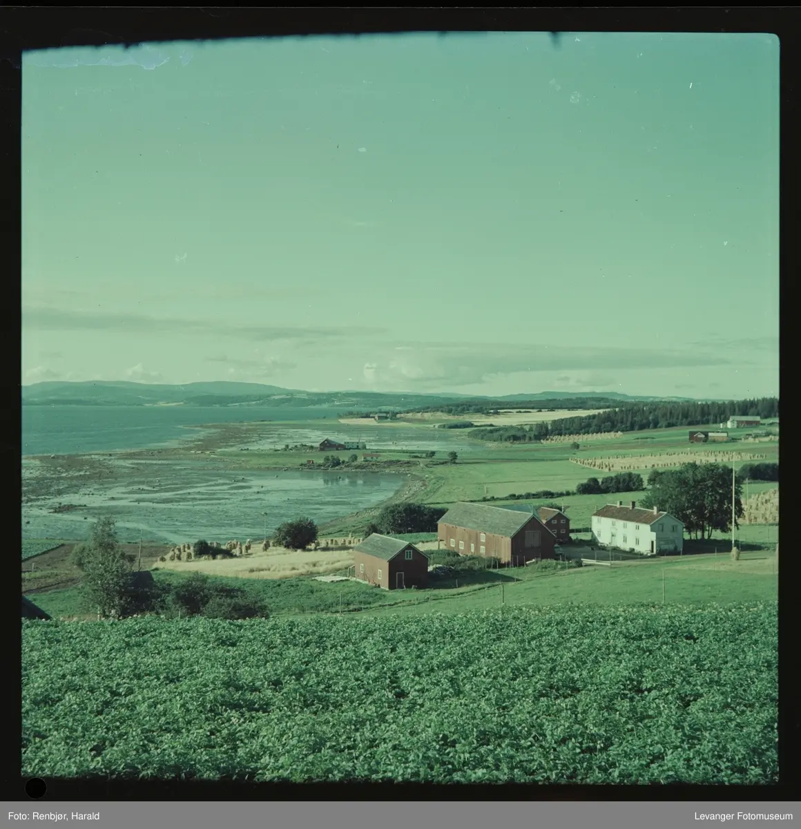 Utsikt ved Nesset i Levanger. - Levanger Fotomuseum / DigitaltMuseum