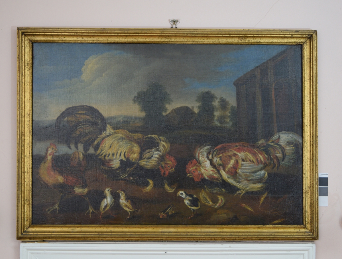 Hanekamp [Oljemaleri] - Vest-Agder-museet / DigitaltMuseum