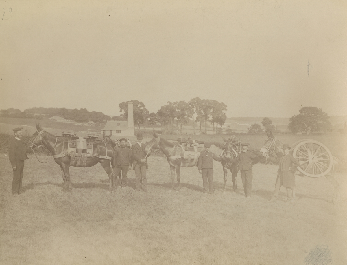 Fältdag i Darford, England, 1886. Vapen enligt Nordenfelts konstruktion ...