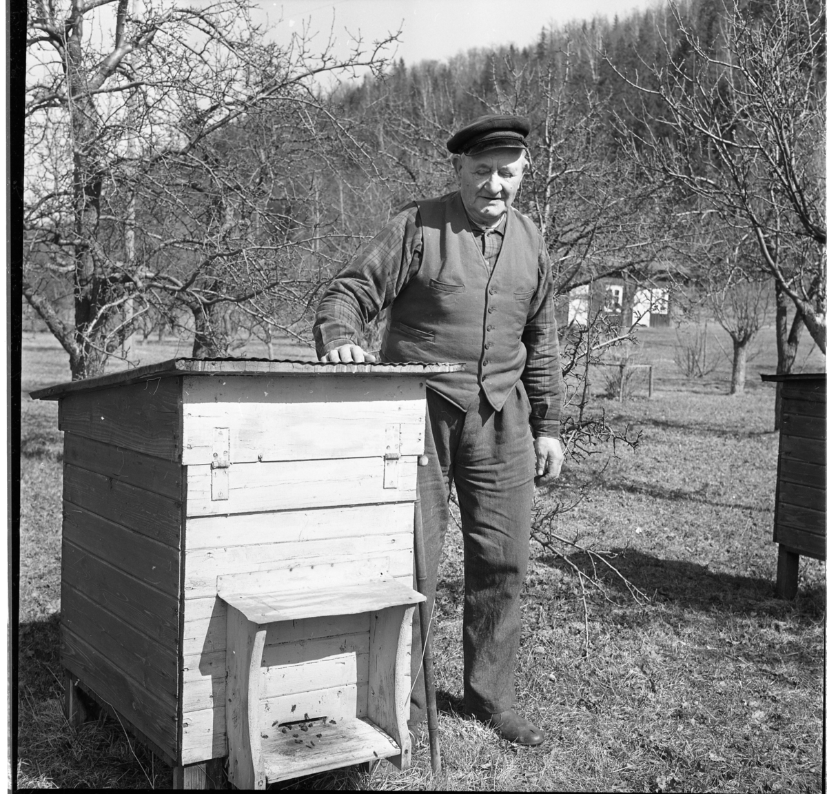 Carl Strand, 81 år i rutig skjorta, väst och keps på huvudet står vid ...