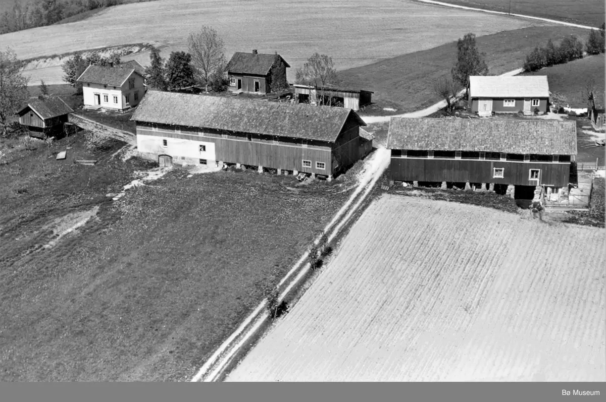 Flyfoto av Haugerud, tatt 7. juni 1958. - Bø Museum / DigitaltMuseum