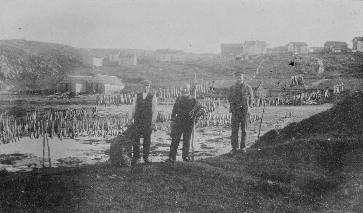 Gruppebilde. Bebyggelse. Tørking av fisk. Lillekjerringvåg, Dolmøy ...