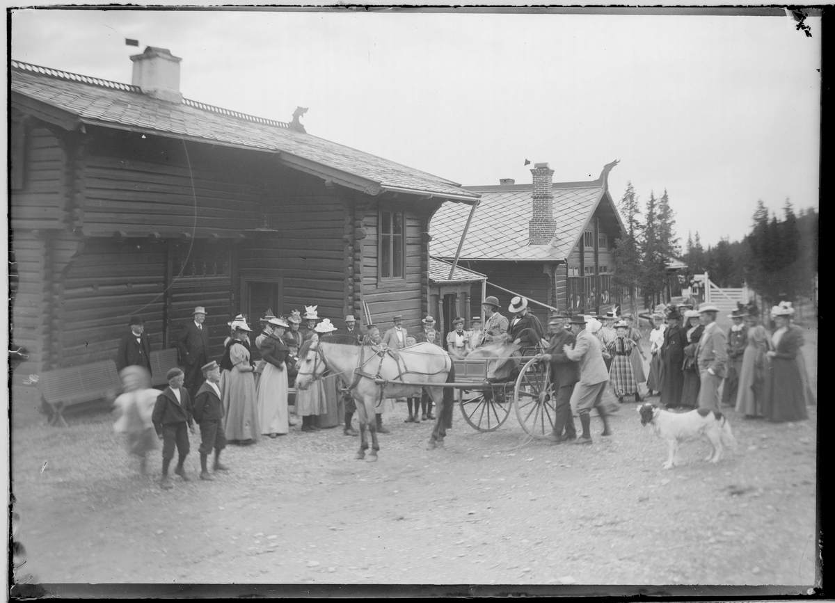 En folkemengde rundt en hest med karjol og passasjerer. I bakgrunnen ...