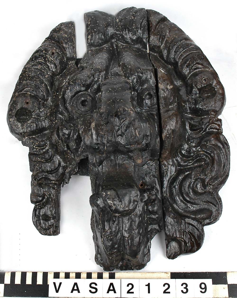 Lejonmaskaron - Vasamuseet / DigitaltMuseum