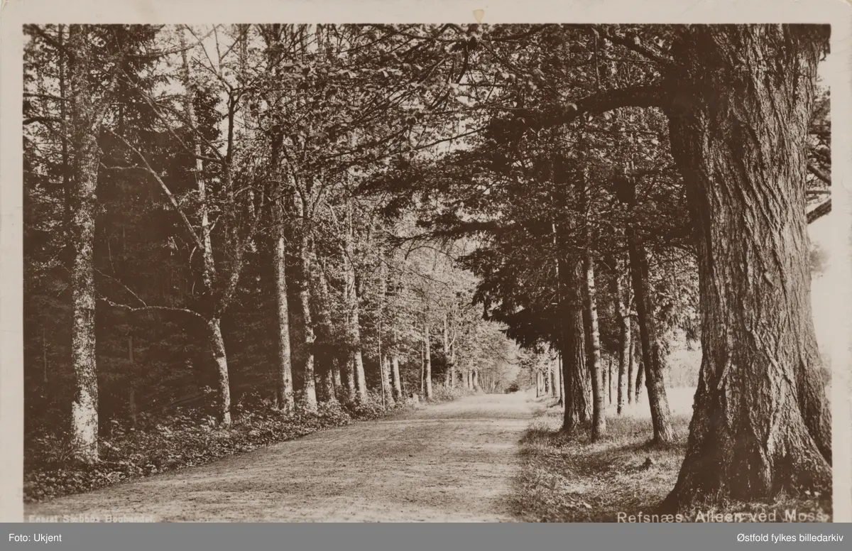 Refsnæs Alleen ved Moss. - Østfold fylkes billedarkiv / DigitaltMuseum