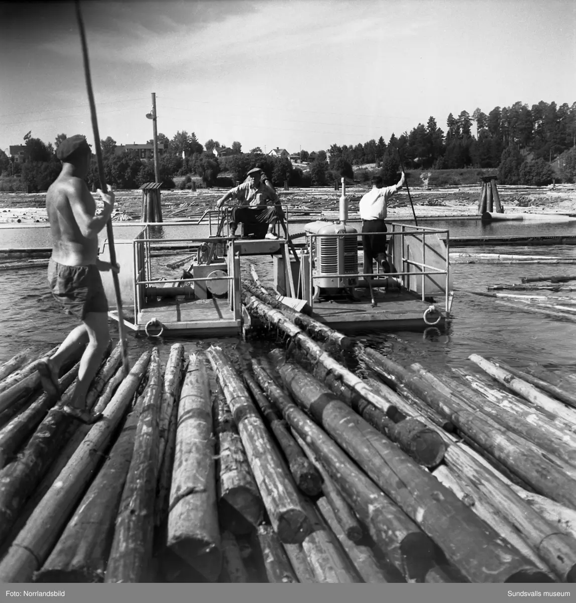 Stödläggningsmaskin för timmersortering i Ljungan, uppströms gamla bron ...